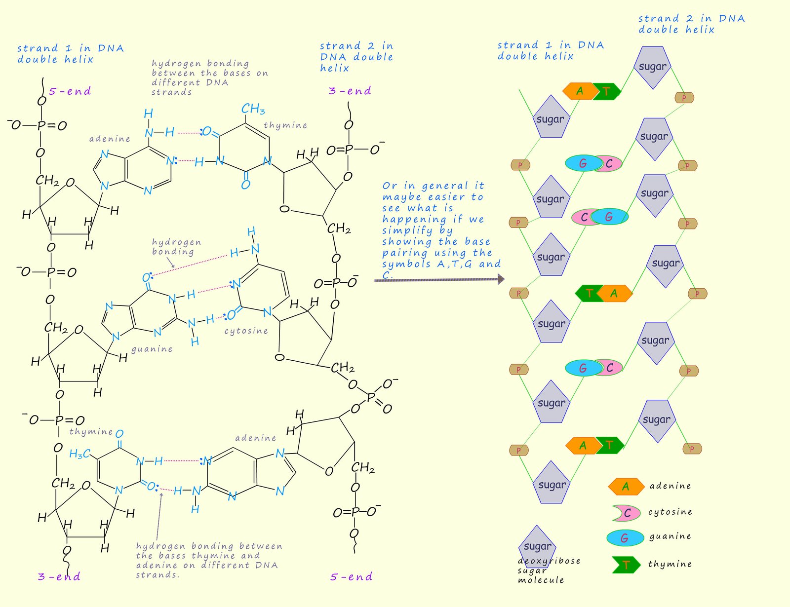 Hydrogen bonding
