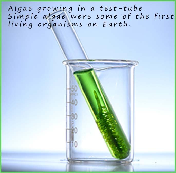 Formation and evolution of the atmosphere