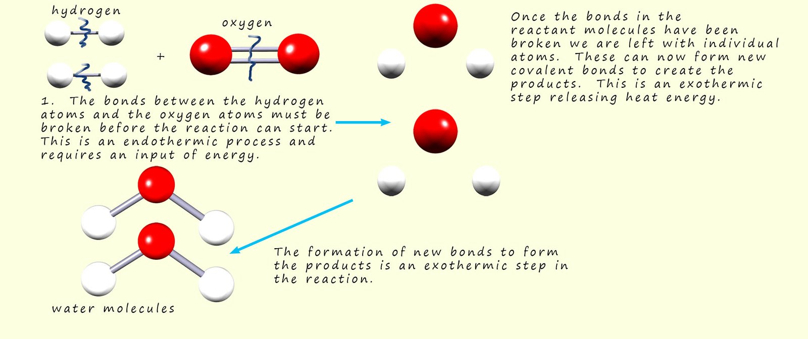 Bond Formation and Breaking: Energy Changes in Chemical Reactions